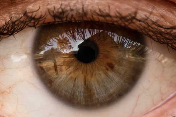 River’s fascination with the photographic genre led him to spend hours ...